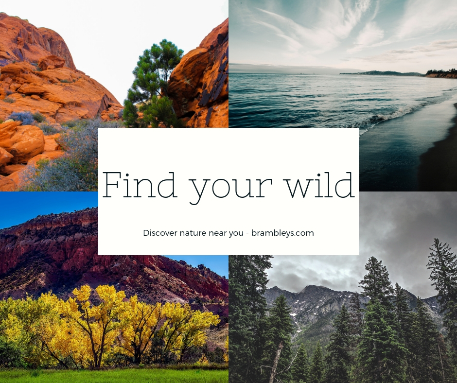 Find your Wild • Maryland • Brambleys .com